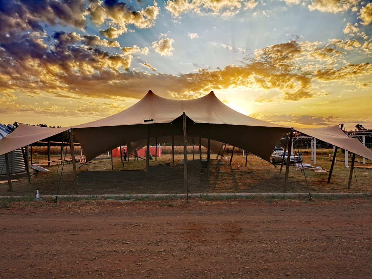 Tentickle - Galería